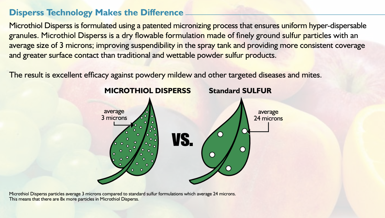 MICROTHIOL DISPERSS – agronomy.earlybirdgoodfield